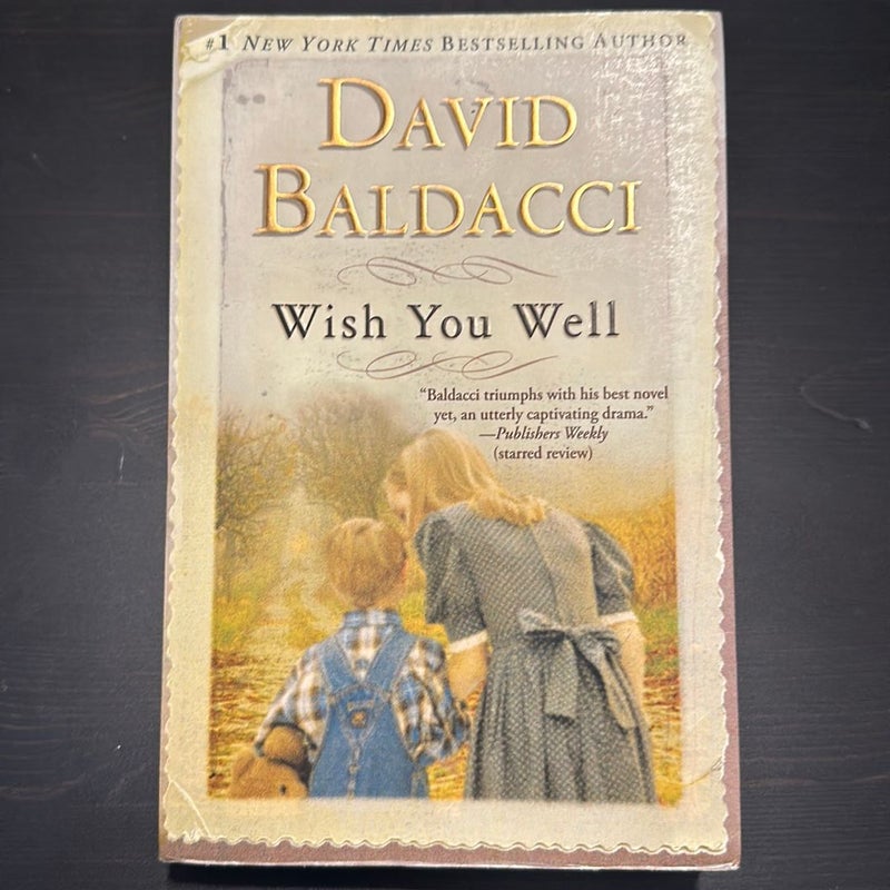 Wish You Well by David Baldacci , Paperback | Pangobooks
