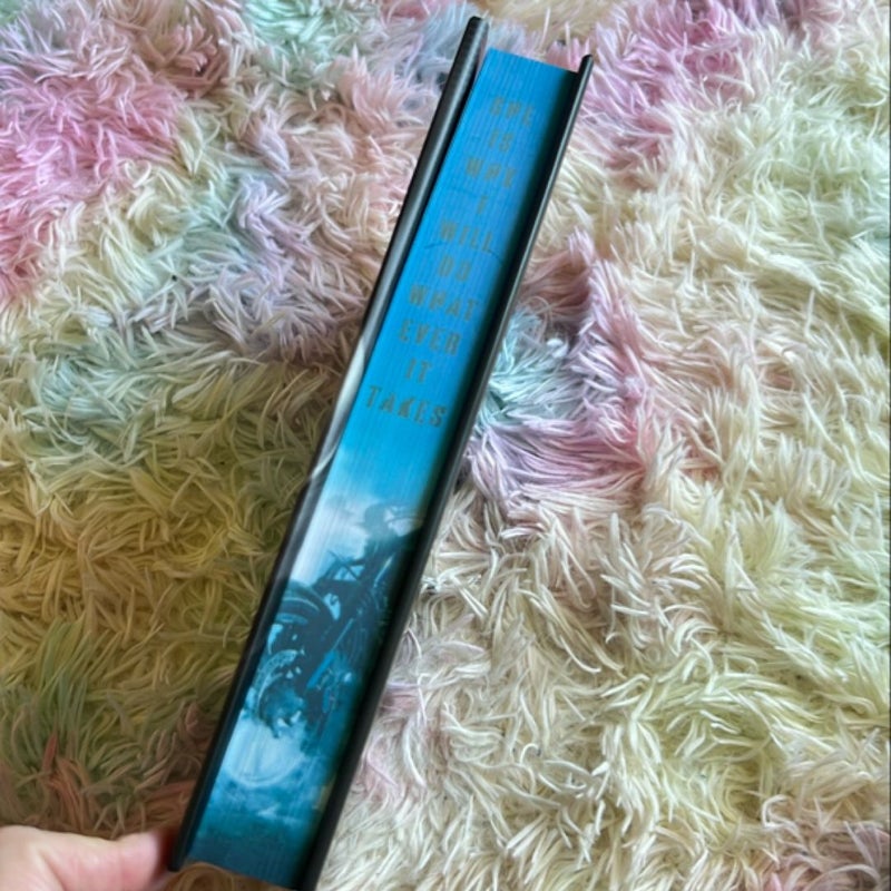 Hostile Saint by India R. Adams, Hardcover | Pangobooks