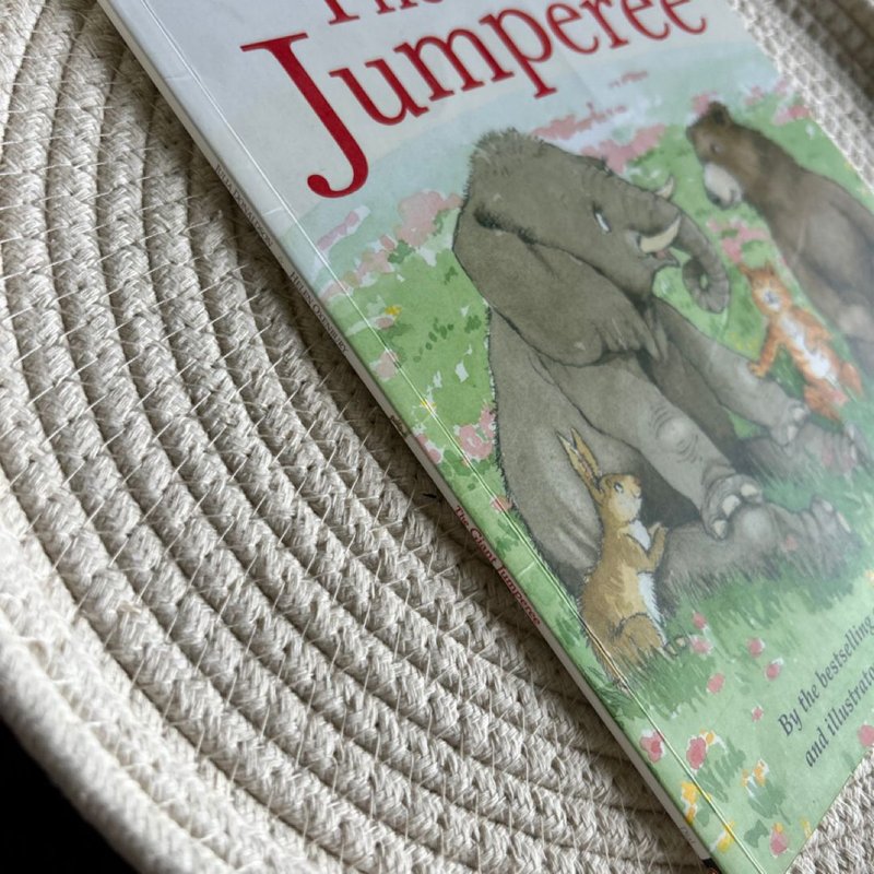 The Giant Jumperee by Julia Donaldson