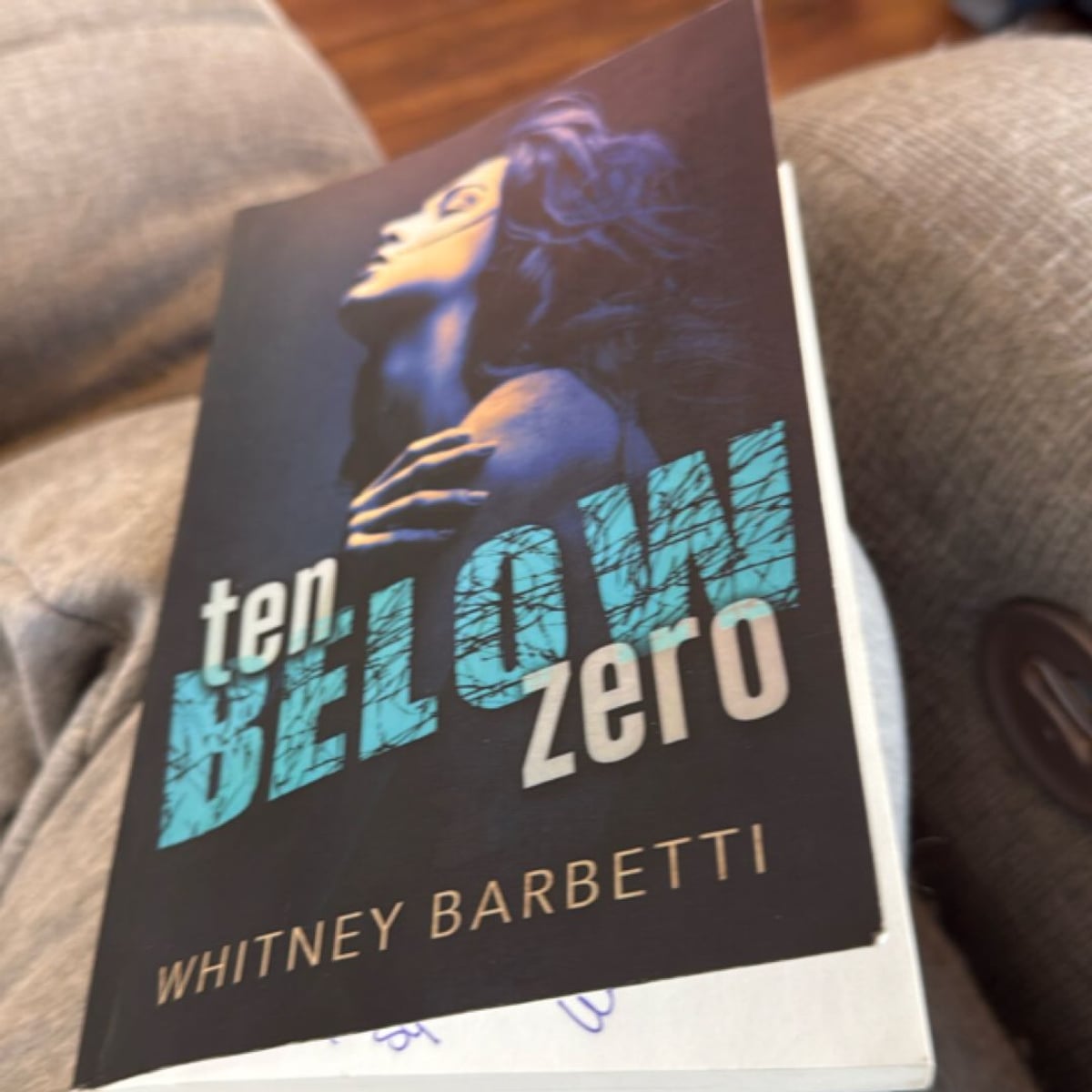 Ten below Zero by Whitney Barbetti