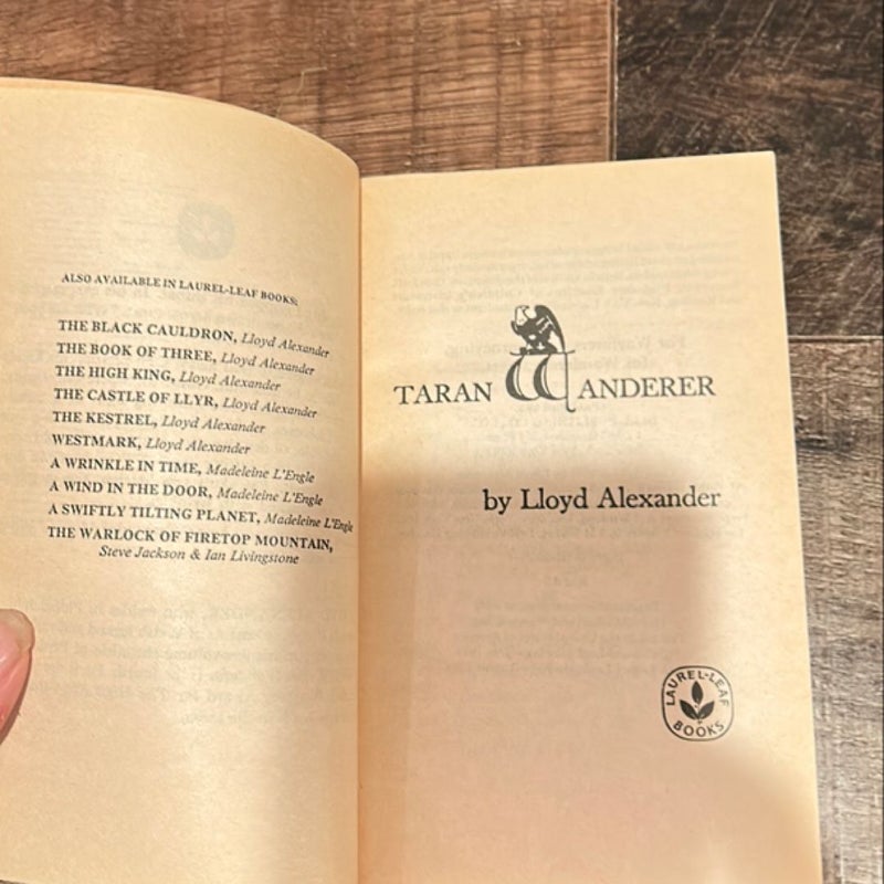 Taran Wanderer by Lloyd Alexander , Paperback | Pangobooks