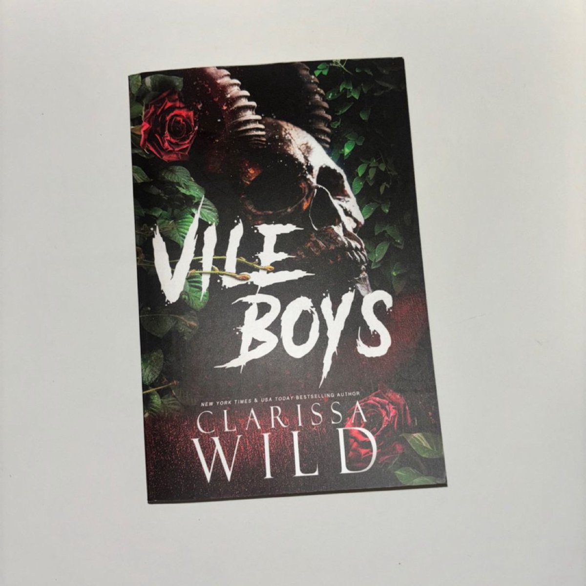Vile Boys by Clarissa Wild