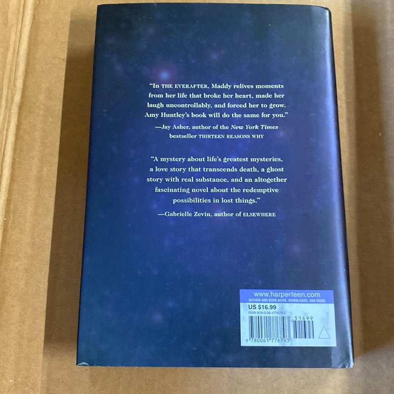 The Everafter by Amy Huntley