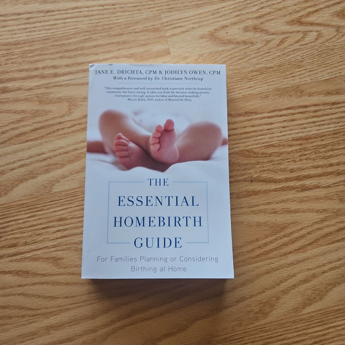 The Essential Homebirth Guide by Jane E. Drichta, Jodilyn Owen ...