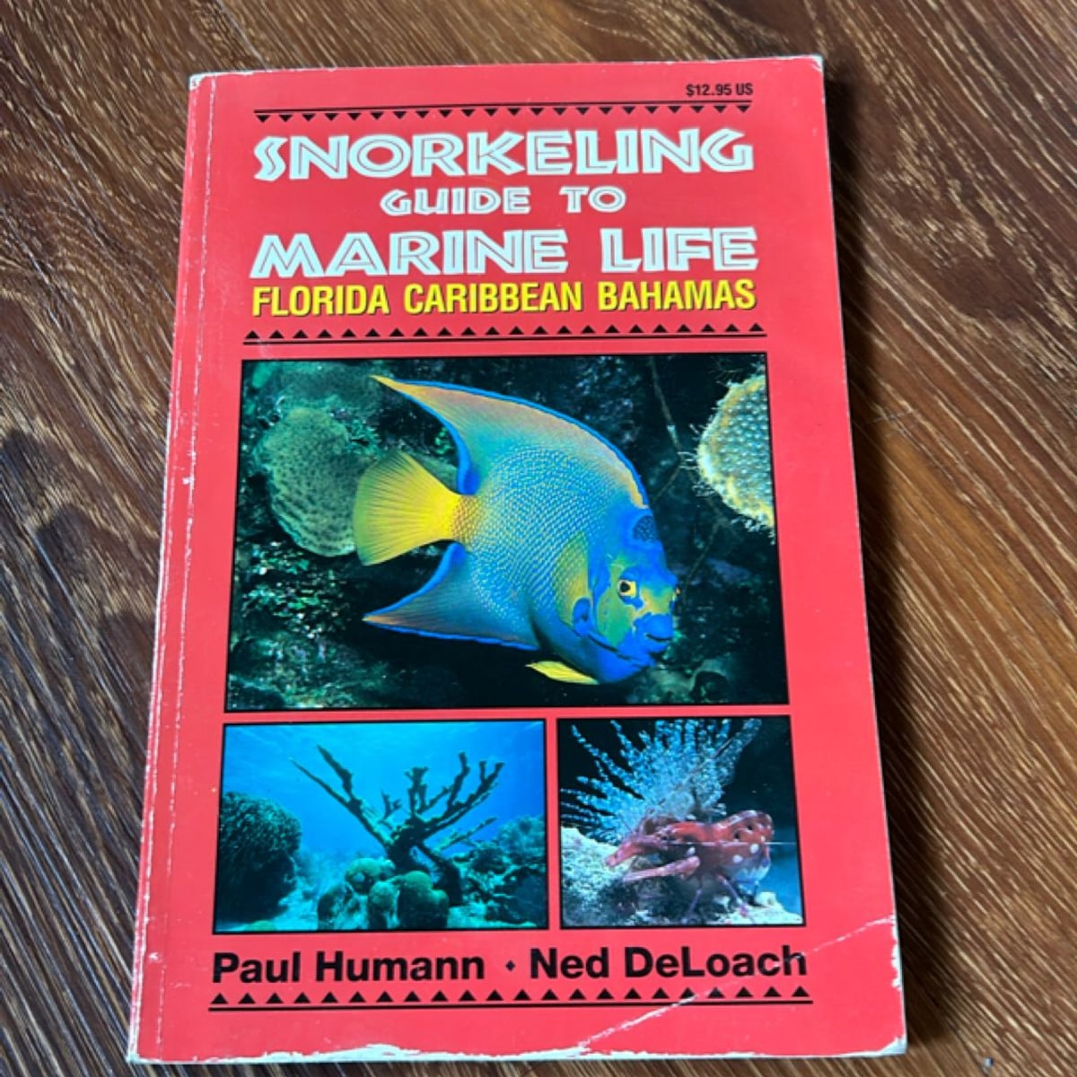 Snorkeling Guide to Marine Life by Paul Humann, Ned Deloach