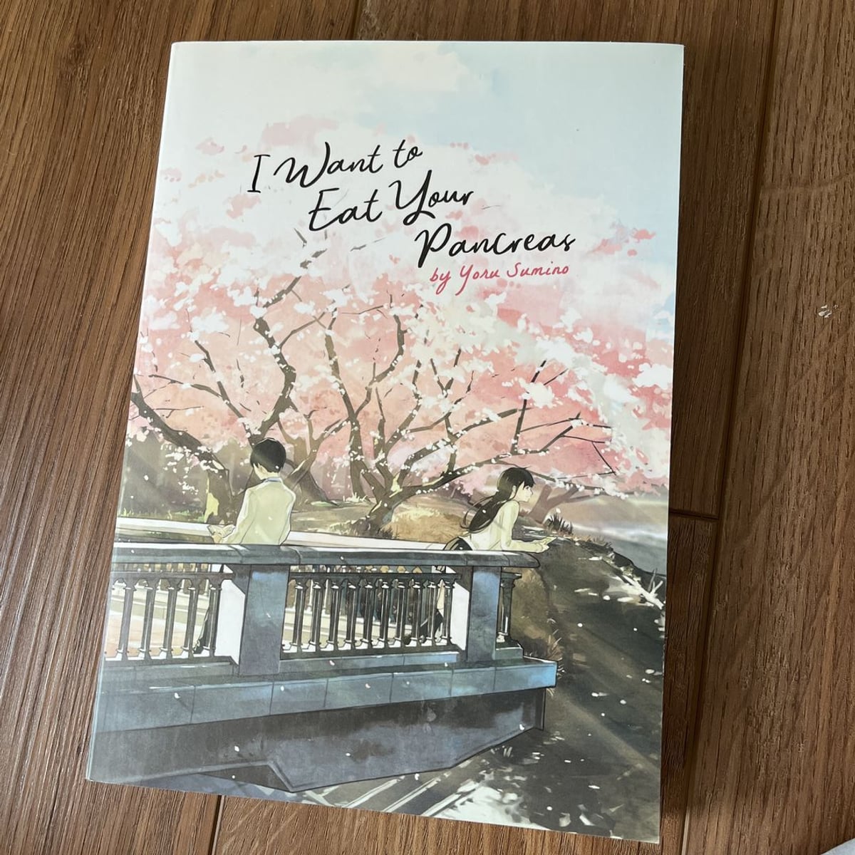 I Want to Eat Your Pancreas (Light Novel) by Yoru Sumino, Paperback ...