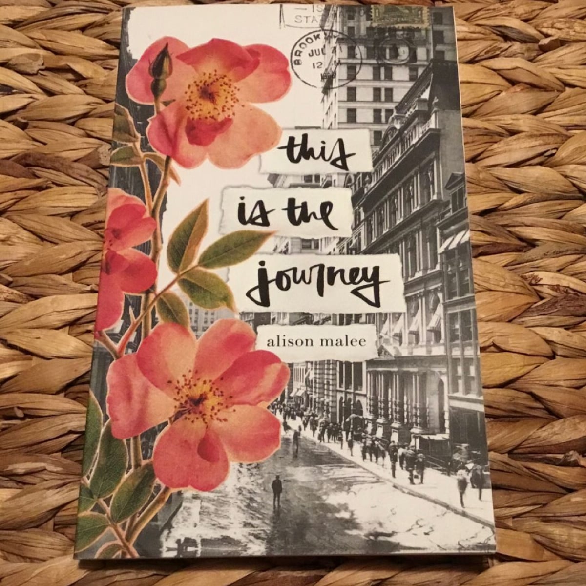 This Is the Journey by Alison Malee