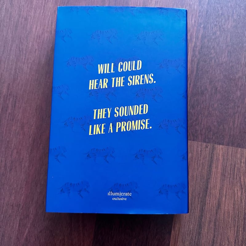 Portrait of a Thief (Illumicrate Edition) by Grace D Li, Hardcover ...