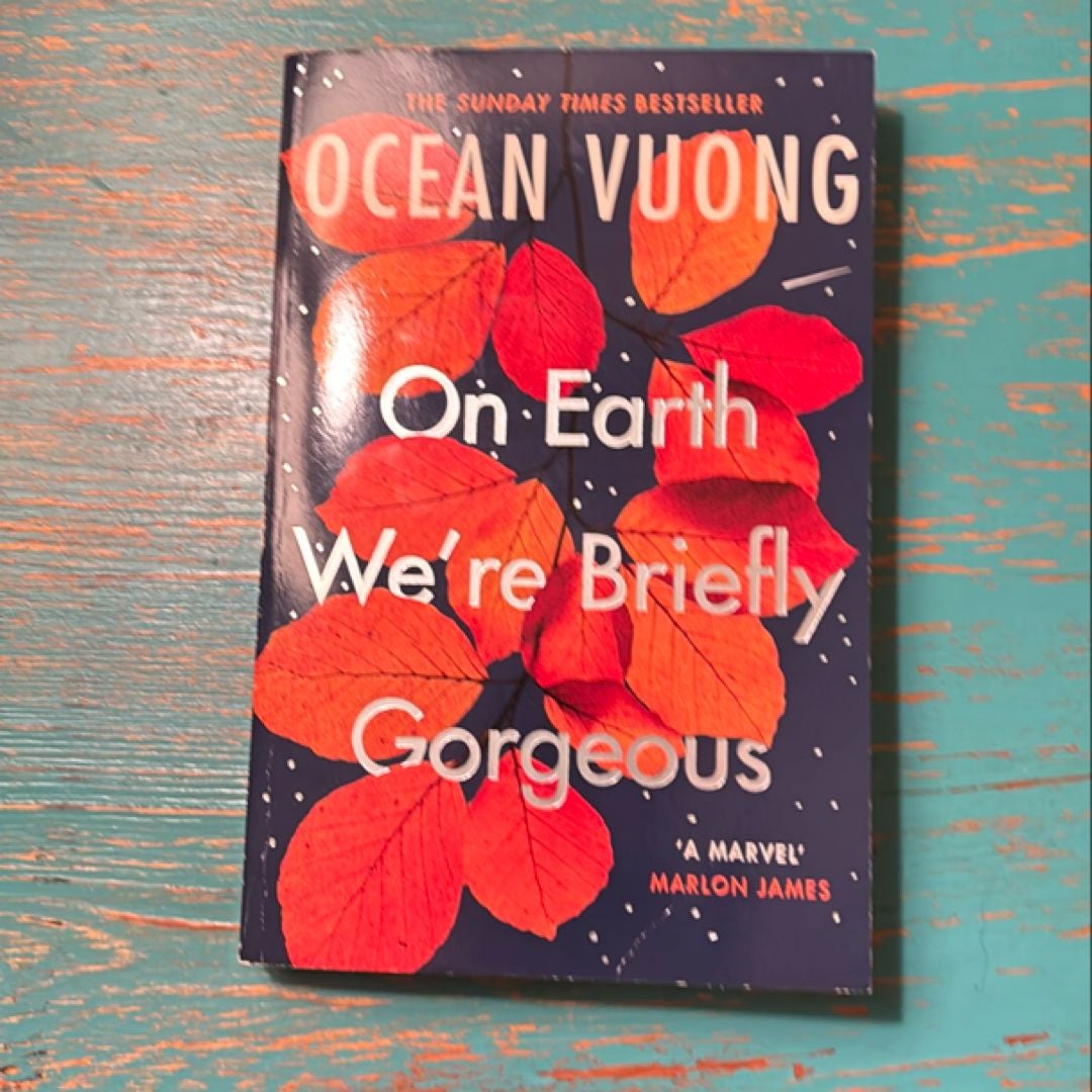 On Earth We’re Briefly Gorgeous by Ocean Vuong, Paperback | Pangobooks