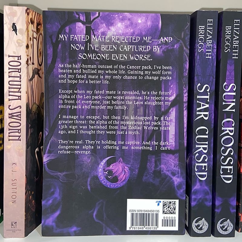 Moon Touched by Elizabeth Briggs, Paperback | Pangobooks