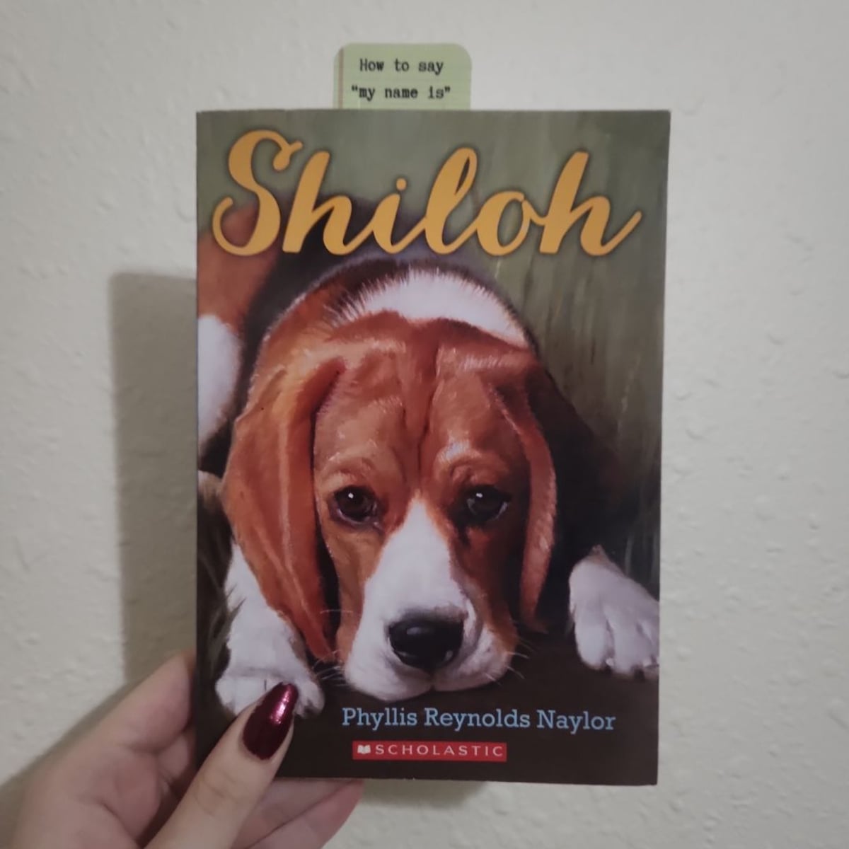 Shiloh by Phyllis Reynolds Naylor, Paperback | Pangobooks