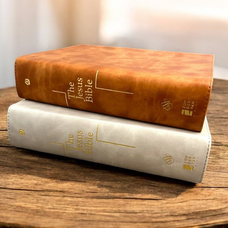 The Jesus Bible, ESV Edition, Leathersoft, Stone by Zondervan ...