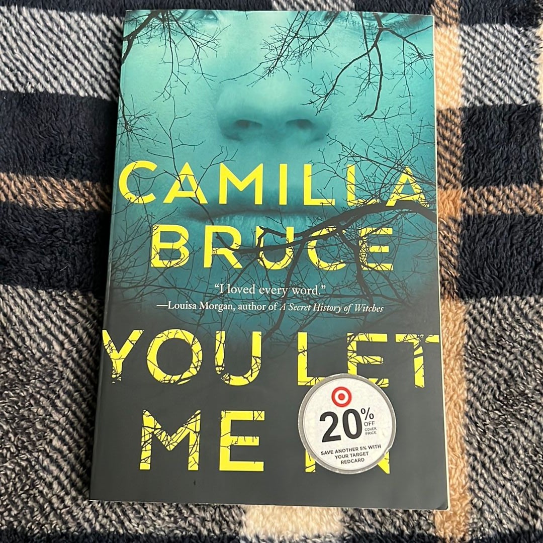 You Let Me In by Camilla Bruce