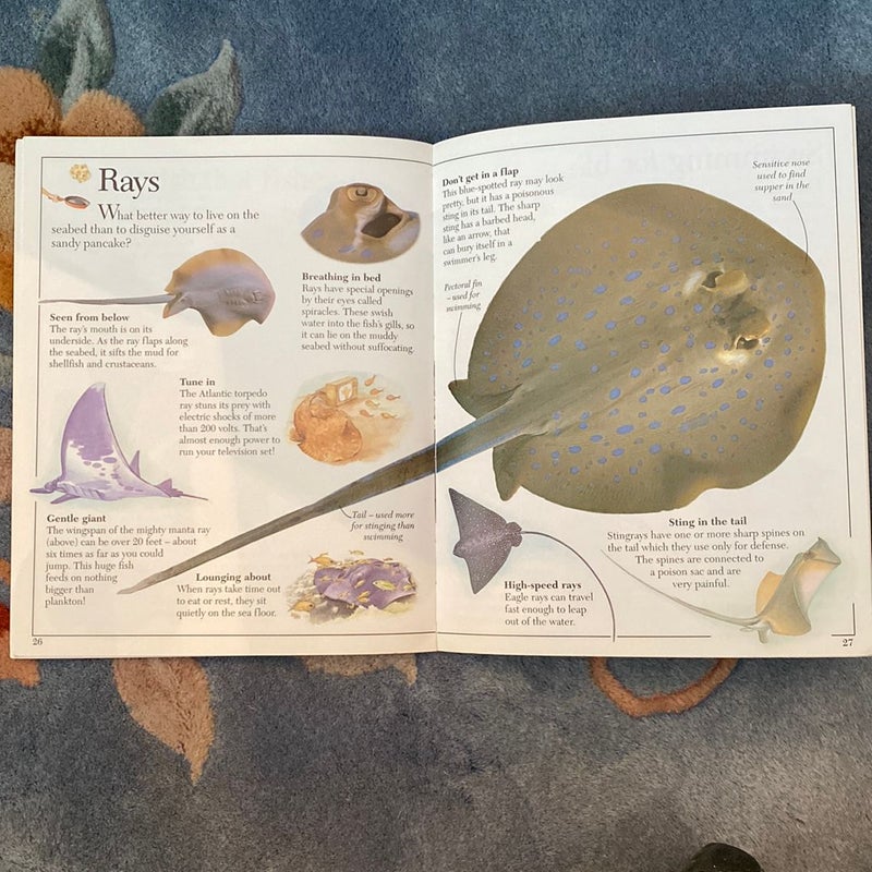 Amazing Fish by Eyewitness Books, Paperback | Pangobooks