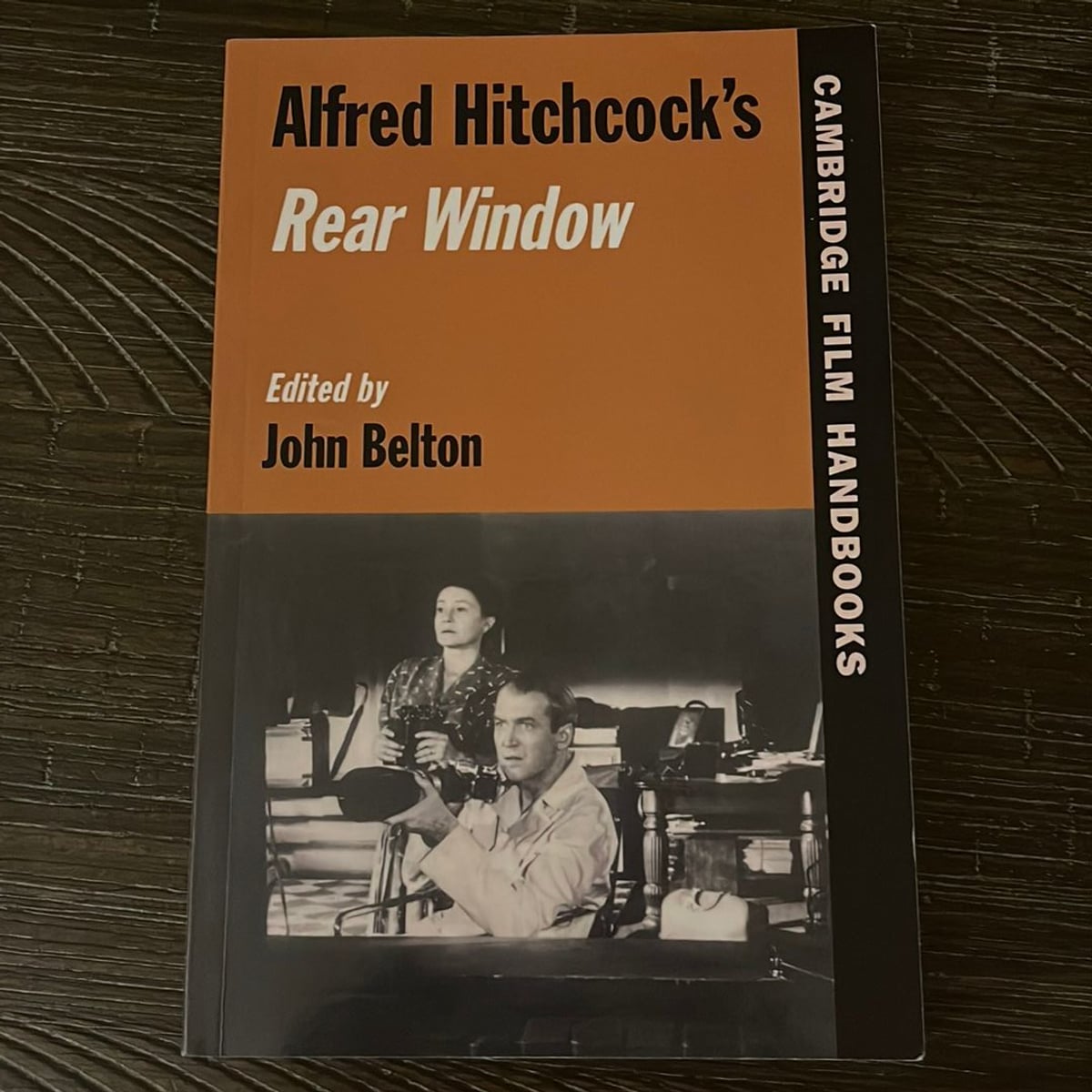 Alfred Hitchcock's Rear Window by Horton Andrew
