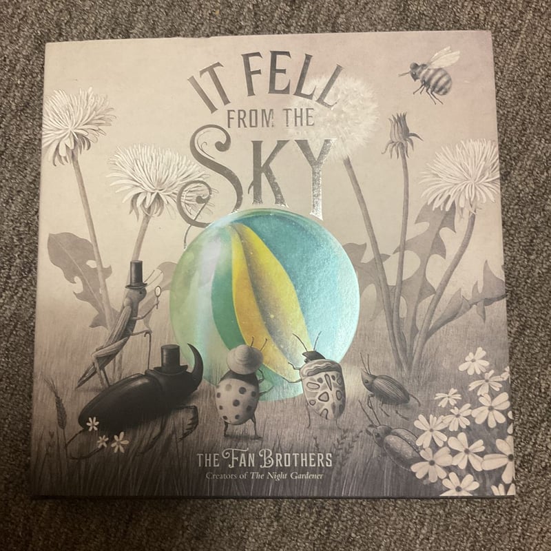 It Fell from the Sky