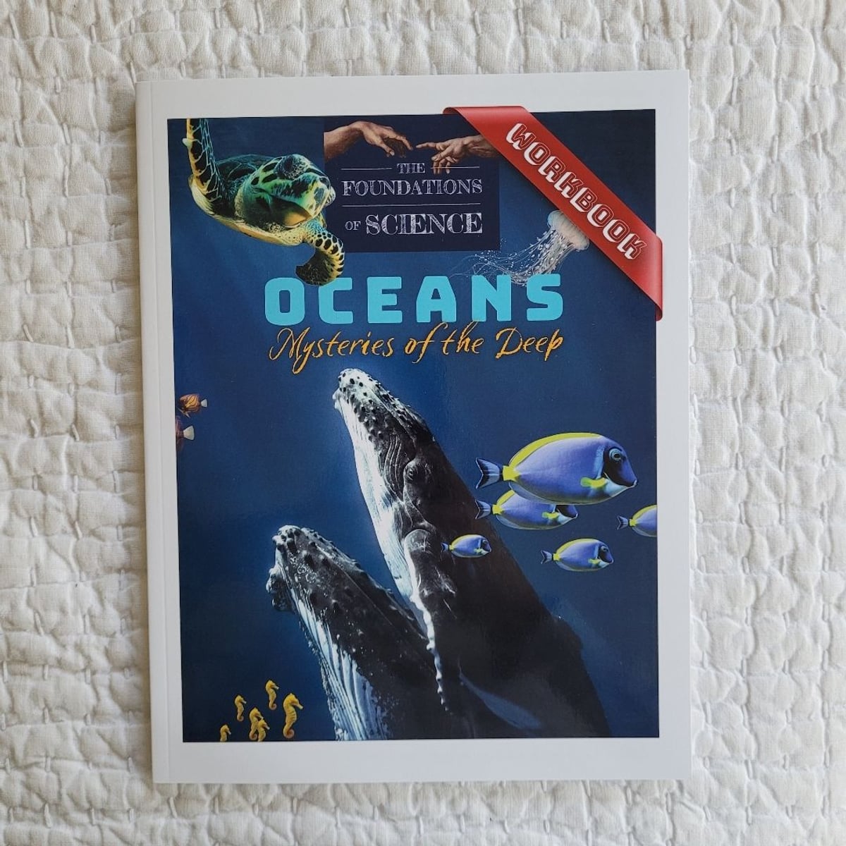 Oceans: Mysteries of the Deep Workbook by Timothy Polnaszek