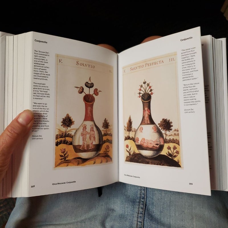 Alchemy and Mysticism by Alexander Roob