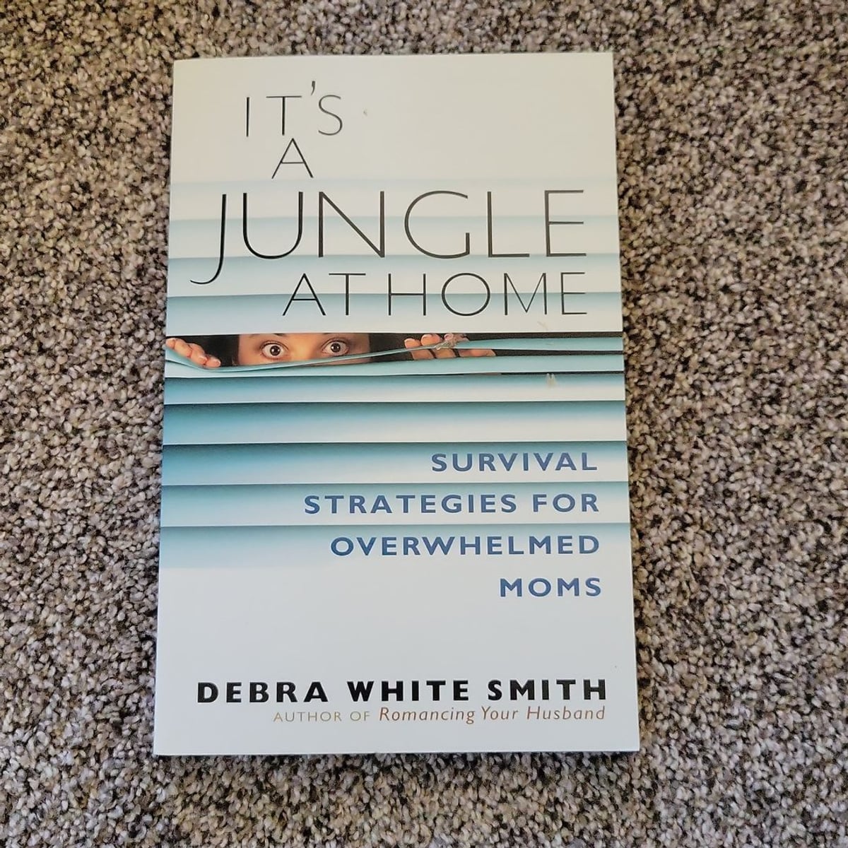 It's a Jungle at Home by Debra White Smith, Paperback | Pangobooks