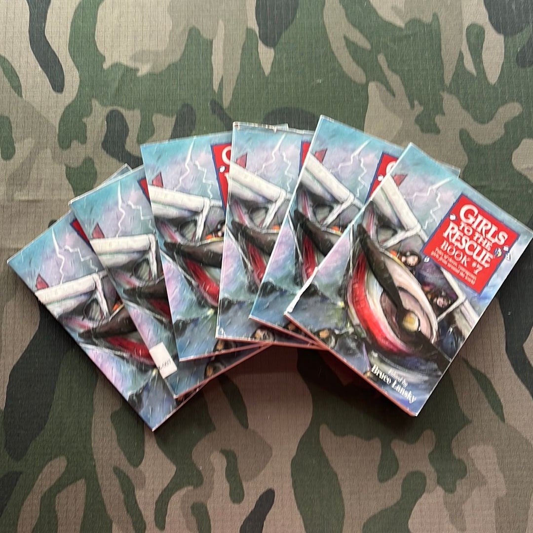 Stromy Flight by Bruce Lansky