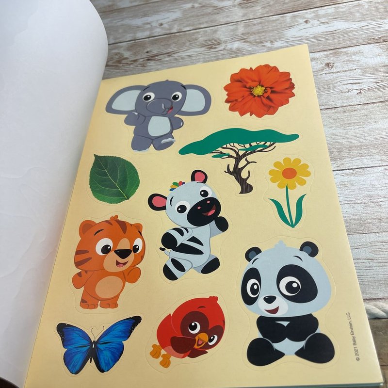 Baby Einstein: Animals All Around by Editors of Dreamtivity