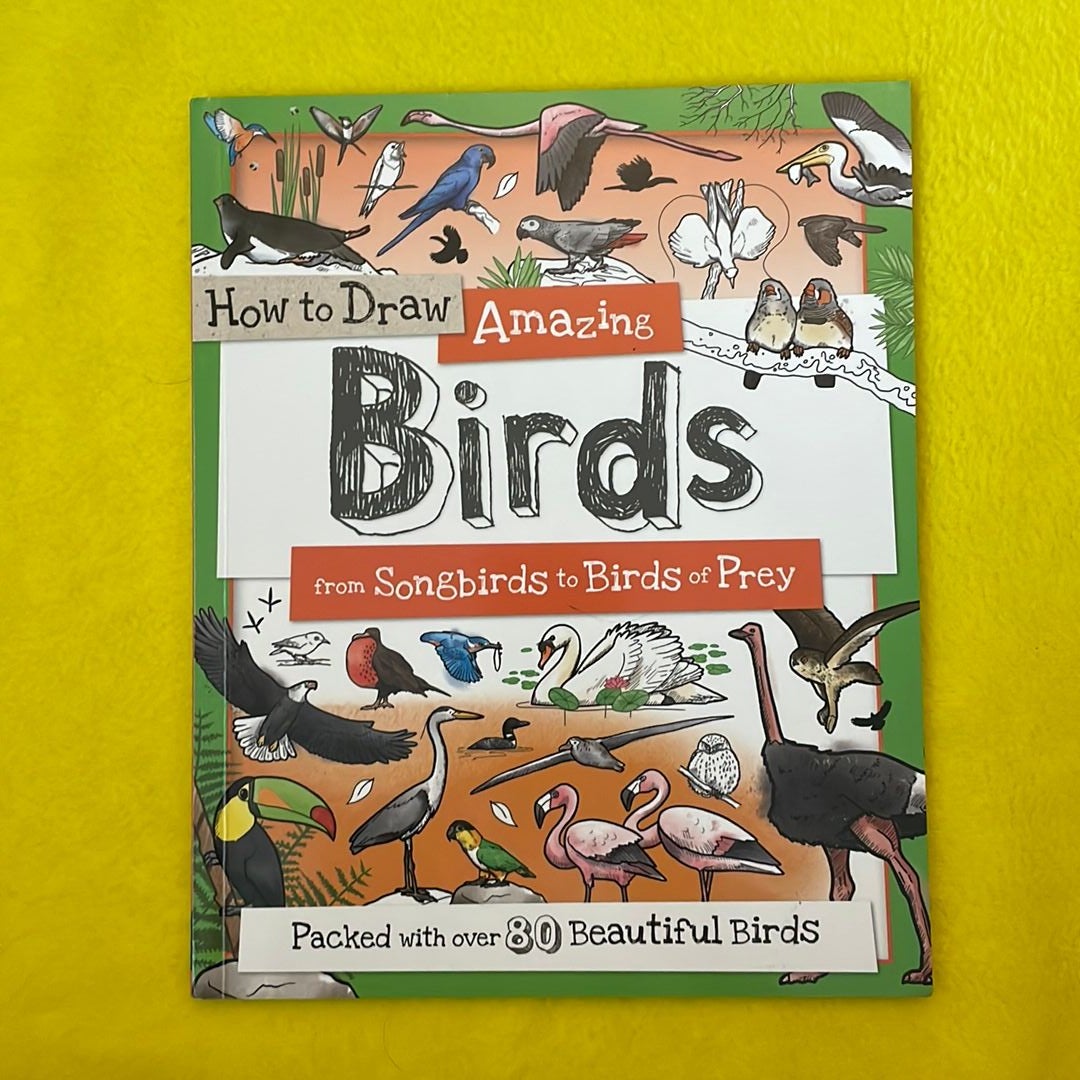 How to Draw Amazing Birds by Paul Calver, Toby Reynolds