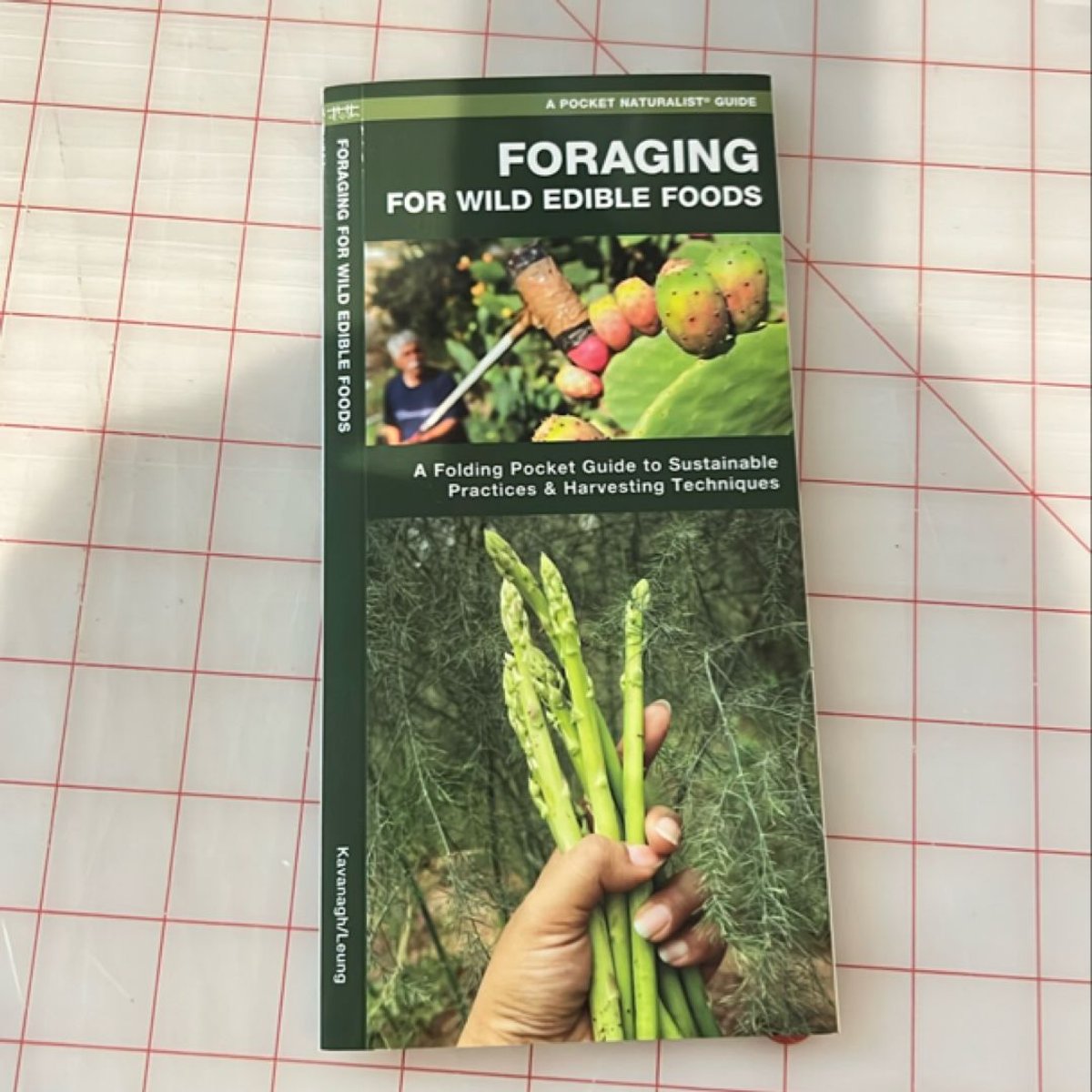 Foraging for Wild Edible Foods by James Kavanagh