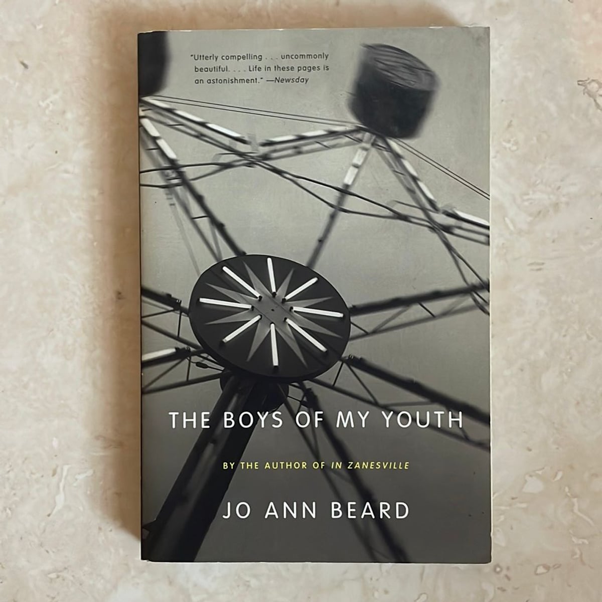 The Boys of My Youth by Jo Ann Beard, Paperback | Pangobooks