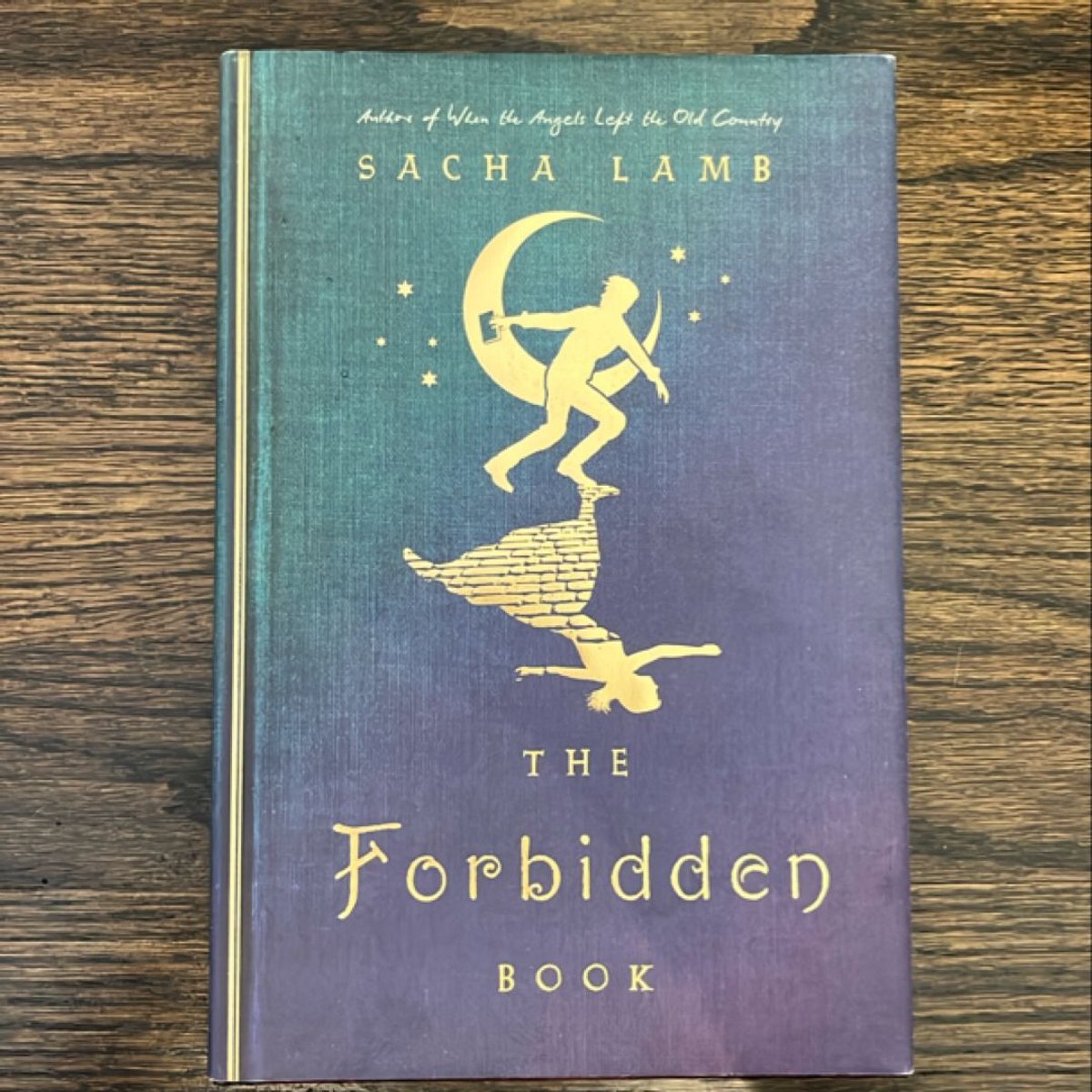 The Forbidden Book by Sacha Lamb