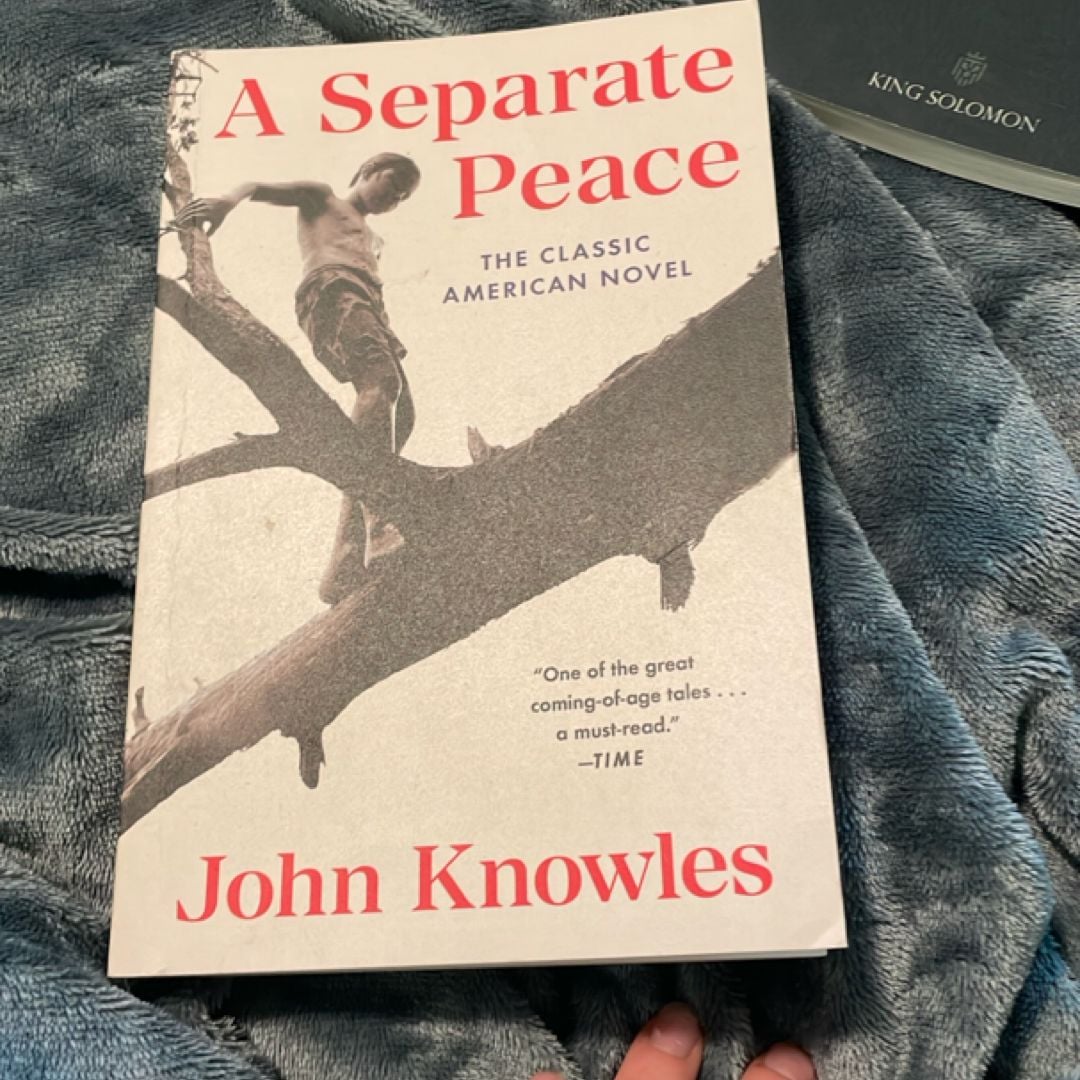 A Seperate Peace by John Knowles, Paperback | Pangobooks