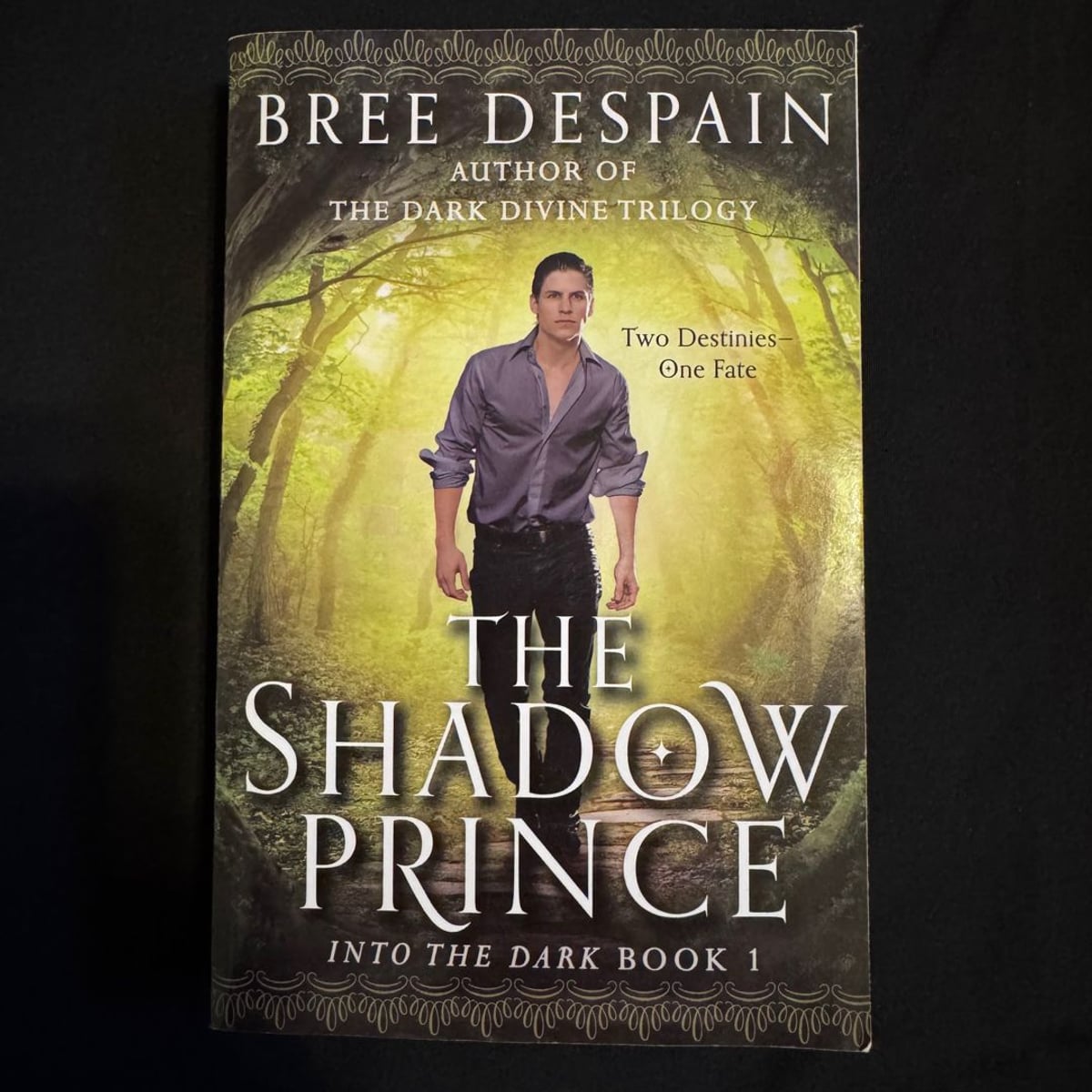 The Shadow Prince by Bree Despain