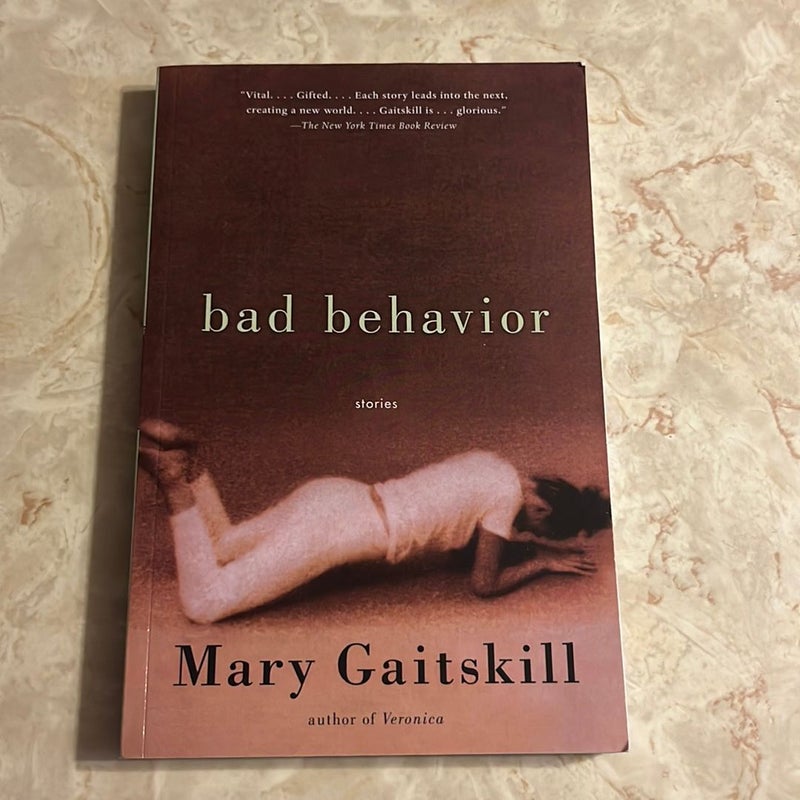 Bad Behavior by Mary Gaitskill, Paperback | Pangobooks