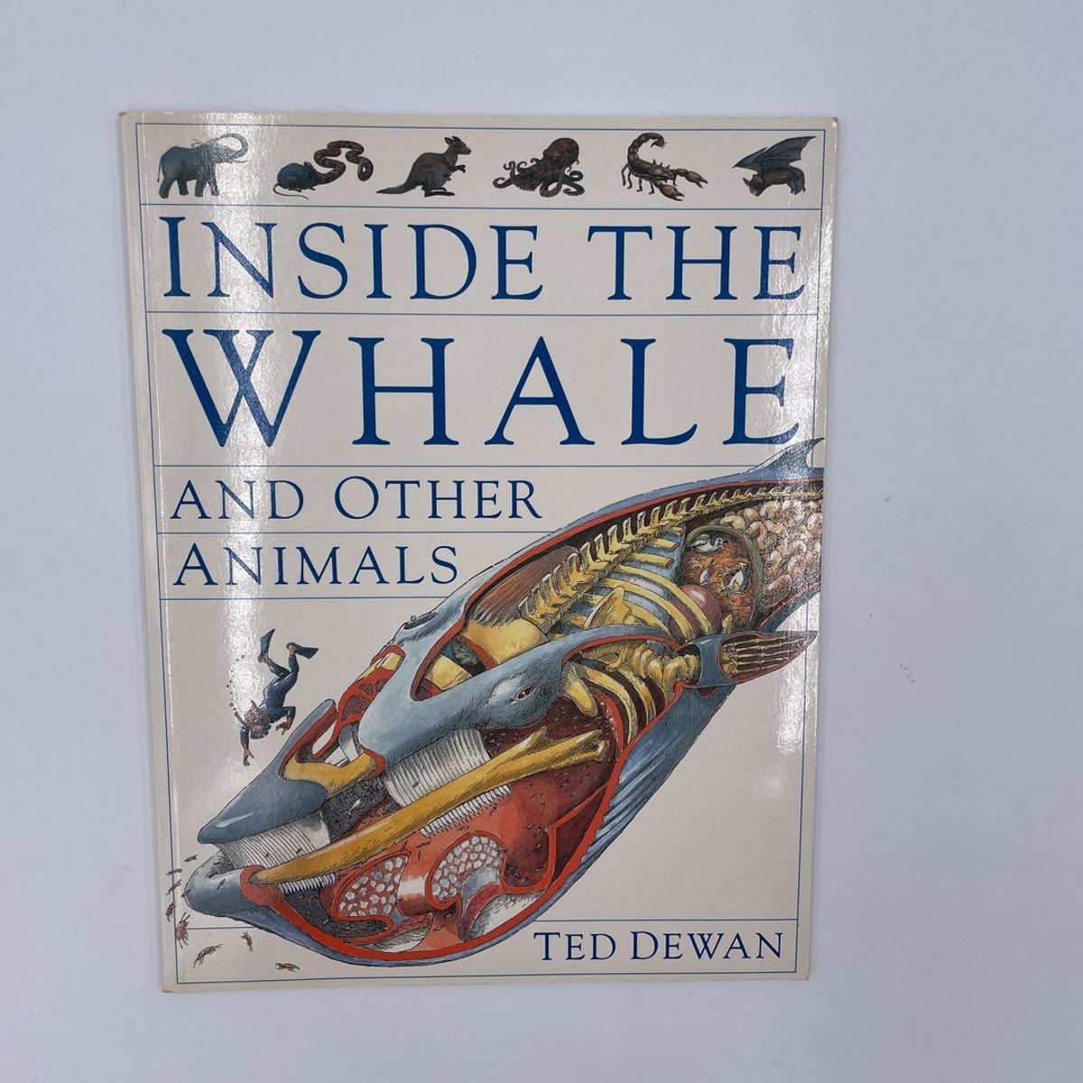 Inside the Whale and Other Animals by Ted Dewan, Paperback | Pangobooks