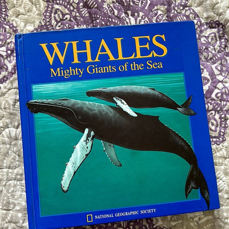 Pop-Up: Whales by National Geographic Kids