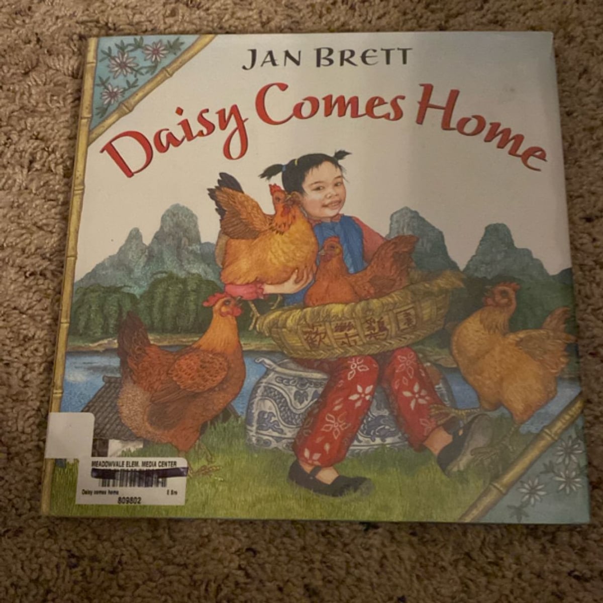 Daisy Comes Home by Jan Brett