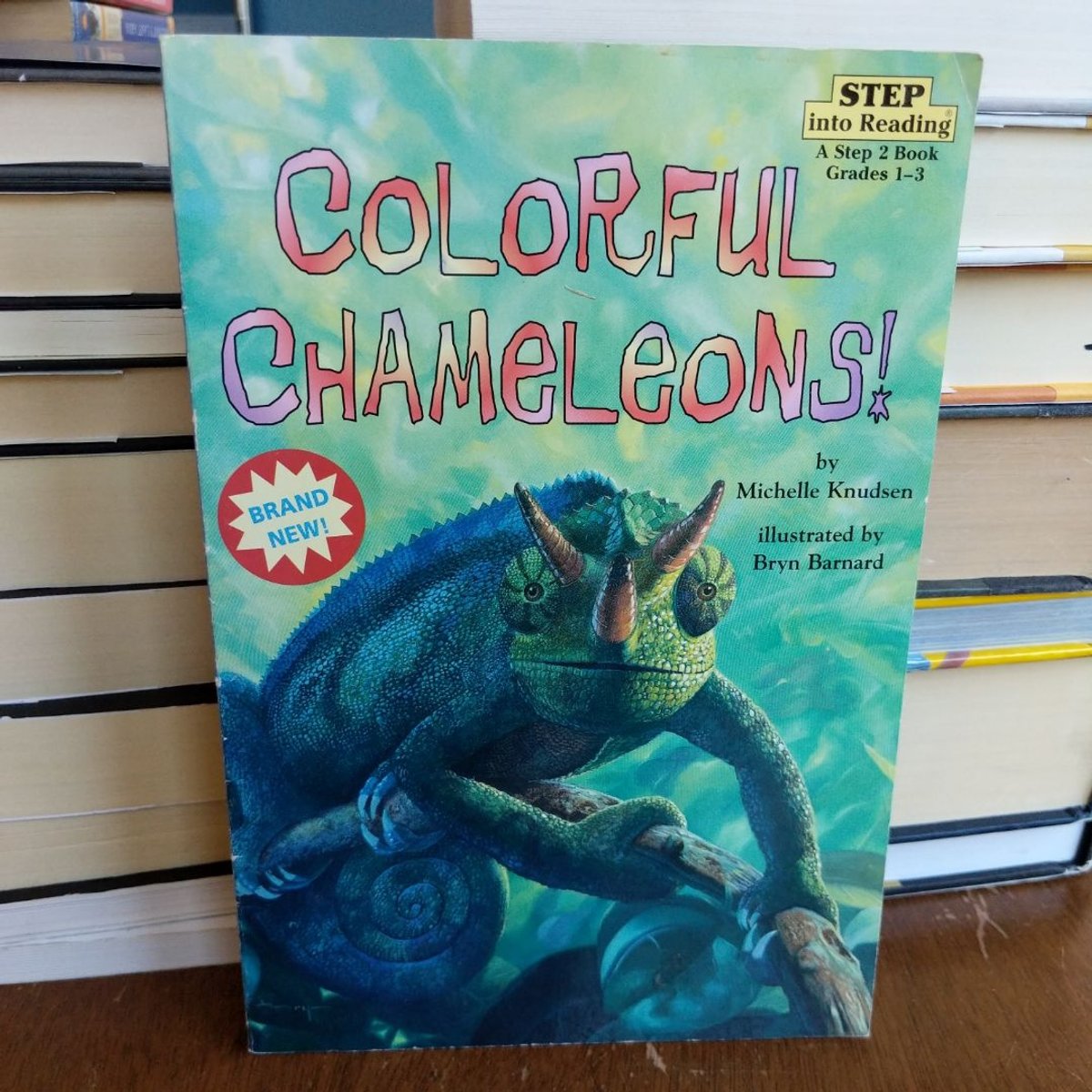 Colorful Chameleons! by Michelle Knudsen
