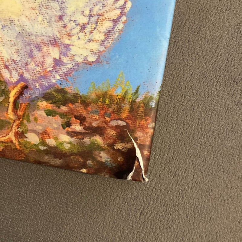 Mercedes and the Chocolate Pilot by Margot Theis Raven, Hardcover ...