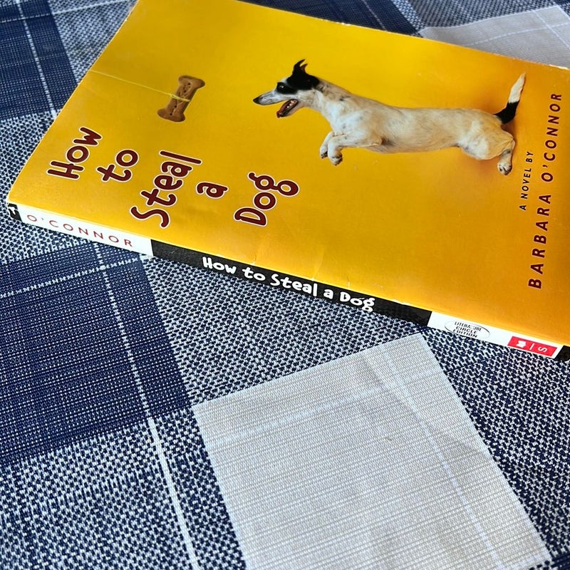 How To Steal a Dog by Barbara O’Connor, Paperback | Pangobooks