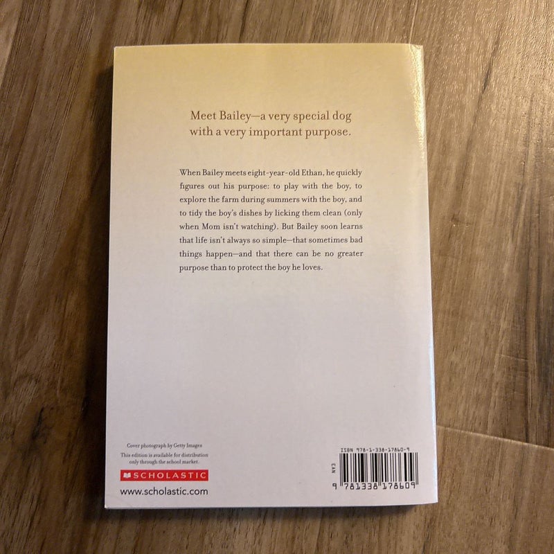 Bailey’s Story by W. Bruce Cameron, Paperback | Pangobooks