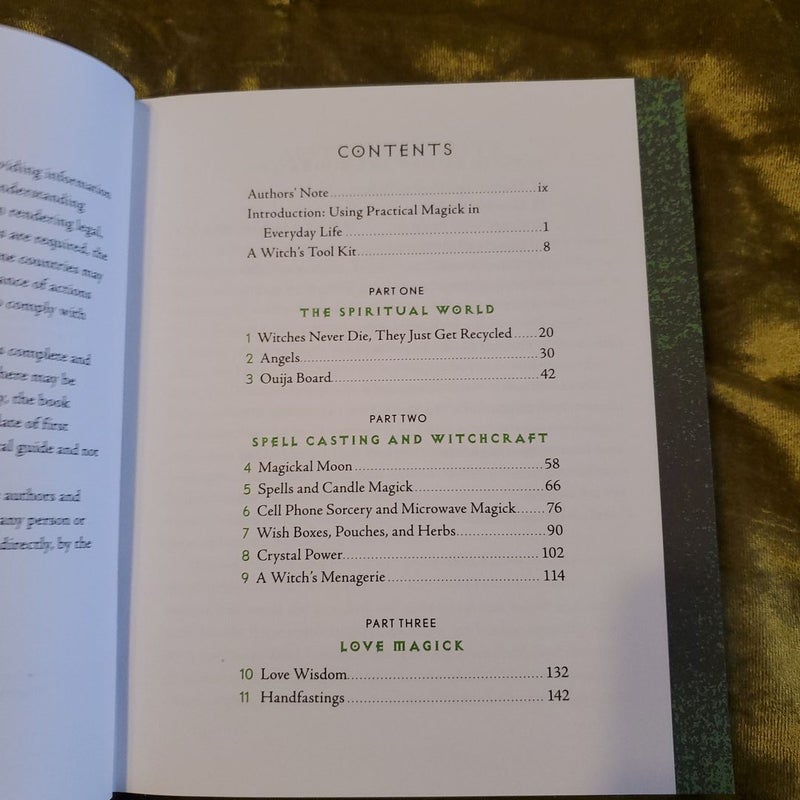 Wiccapedia by Shawn Robbins, Leanna Greenaway