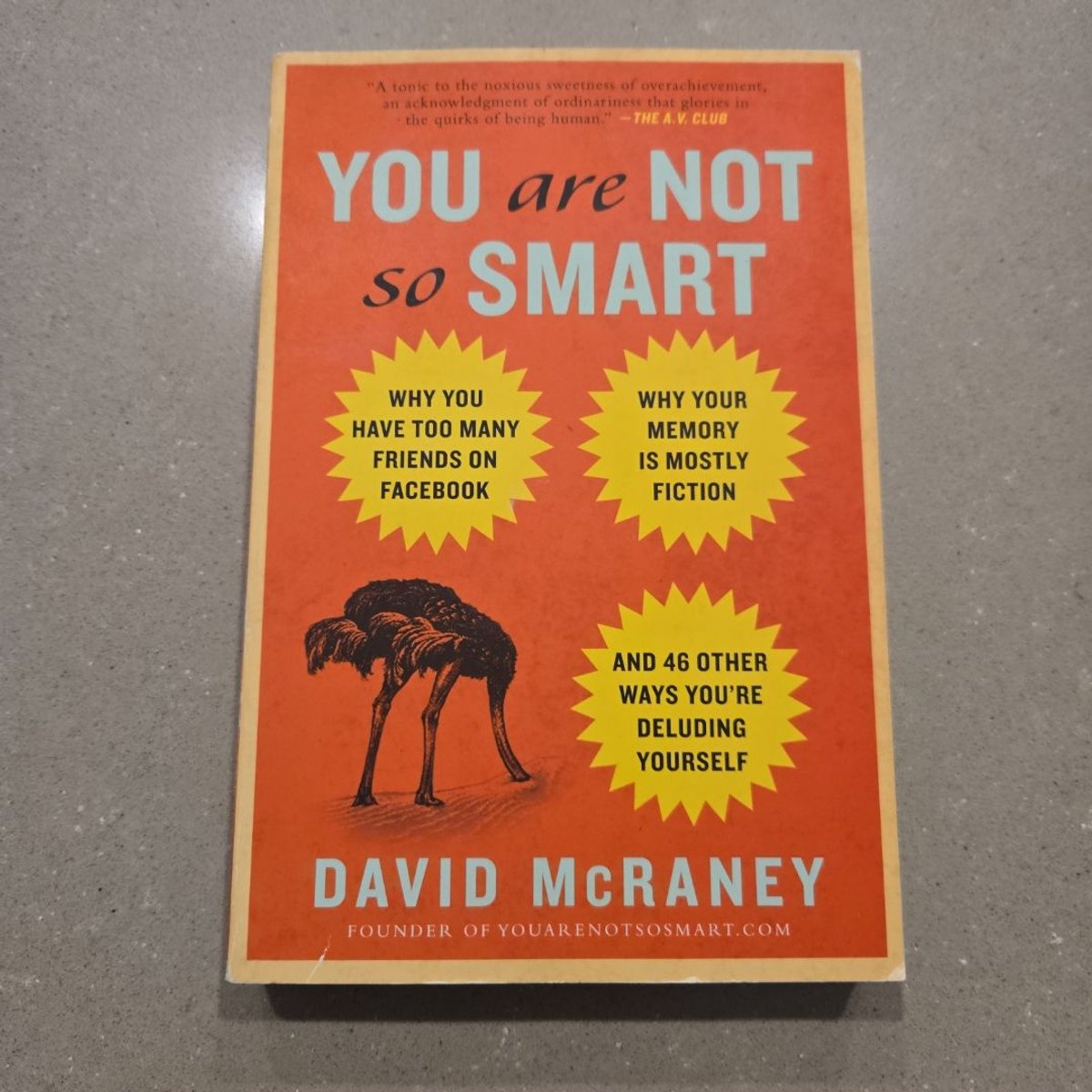 You Are Not So Smart by David McRaney