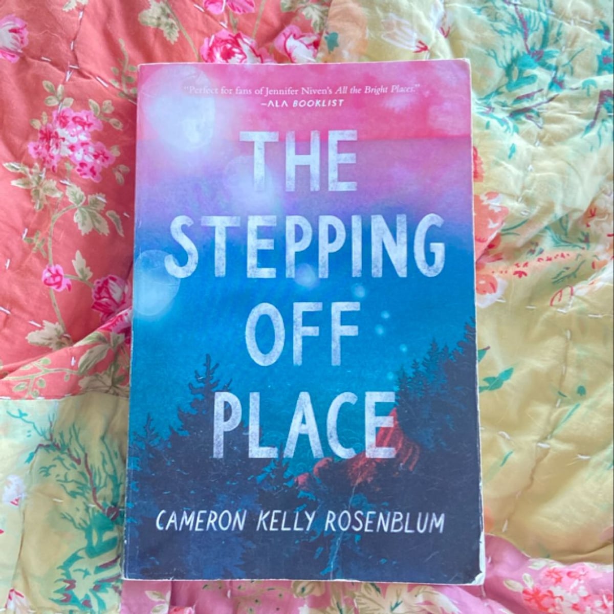 The Stepping off Place by Cameron Kelly Rosenblum