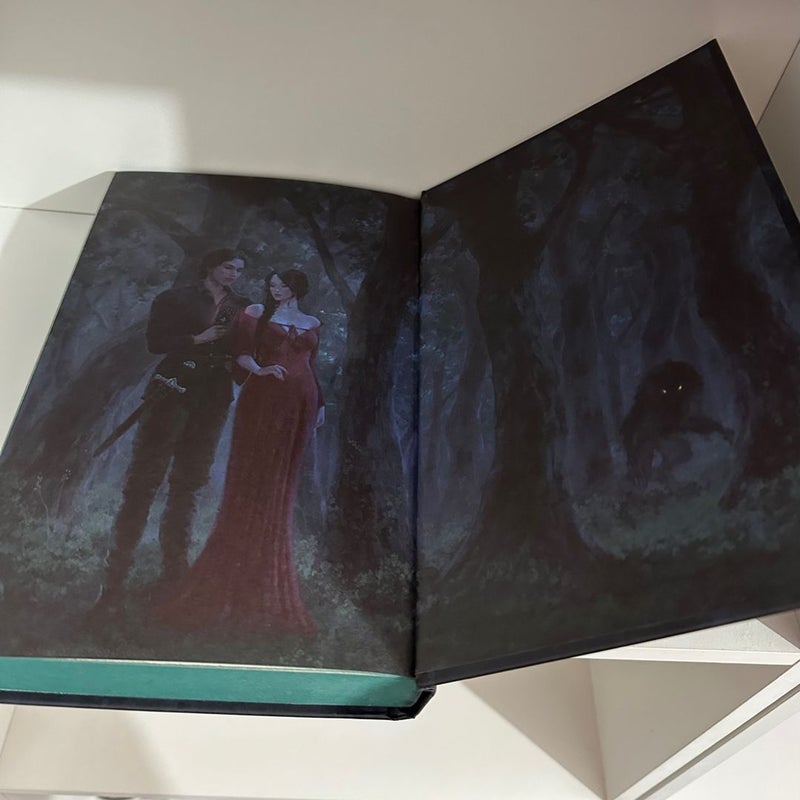 Fairyloot One Dark Window by Rachel Gillig, Hardcover | Pangobooks