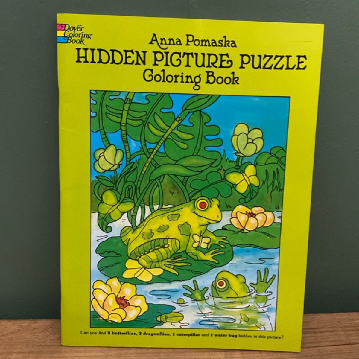 Hidden Picture Puzzle Coloring Book by Anna Pomaska