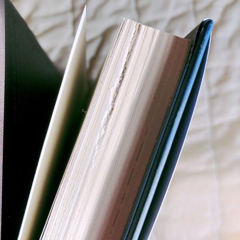 The Shadowhunter's Codex by Cassandra Clare, Hardcover | Pangobooks