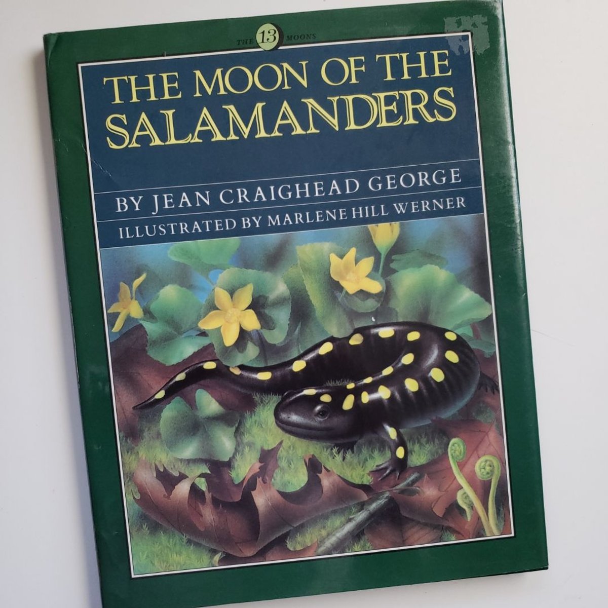The Moon of the Salamanders by Jean Craighead George