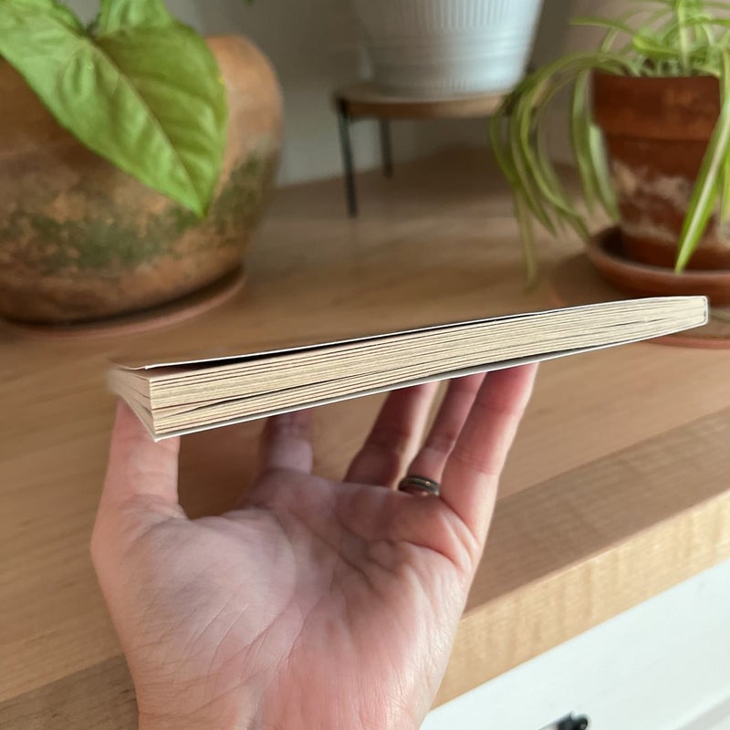 I Survived the Hindenburg Disaster 1937 by Lauren Tarshis