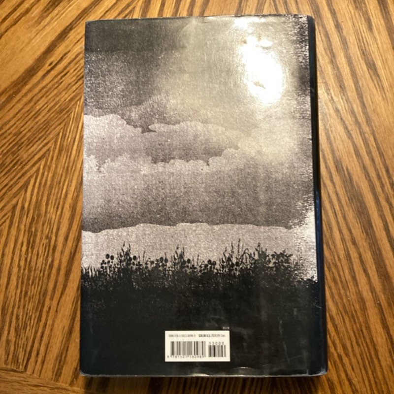 The Outsider by Stephen King, Hardcover | Pangobooks