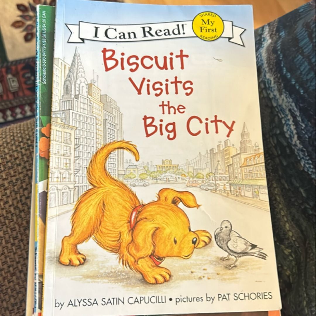 Biscuit Visits the Big City by Alyssa Satin Capucilli, Paperback ...