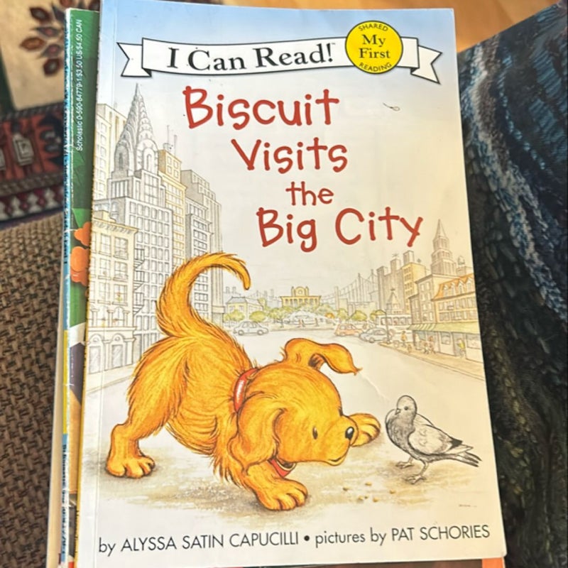 Biscuit Visits the Big City by Alyssa Satin Capucilli, Paperback ...